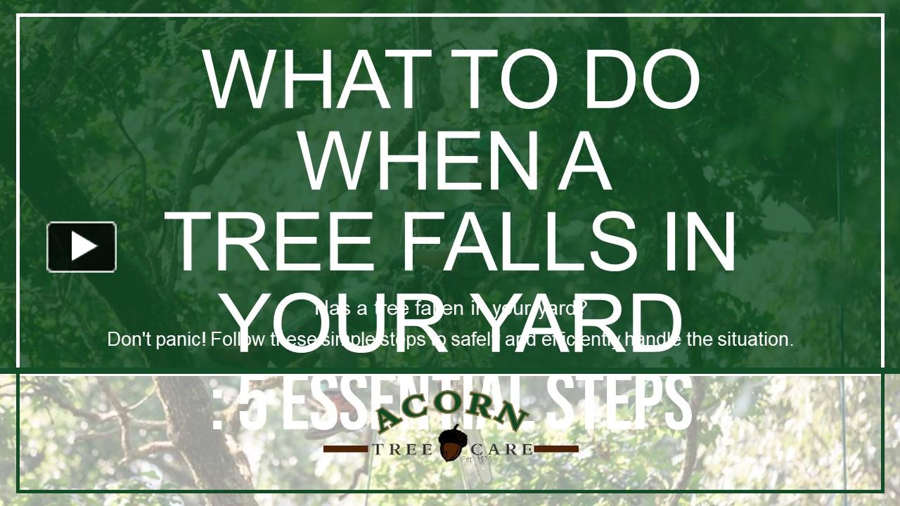 PPT – Keep Calm and Follow These 5 Steps When a Tree Falls in Your Yard ...