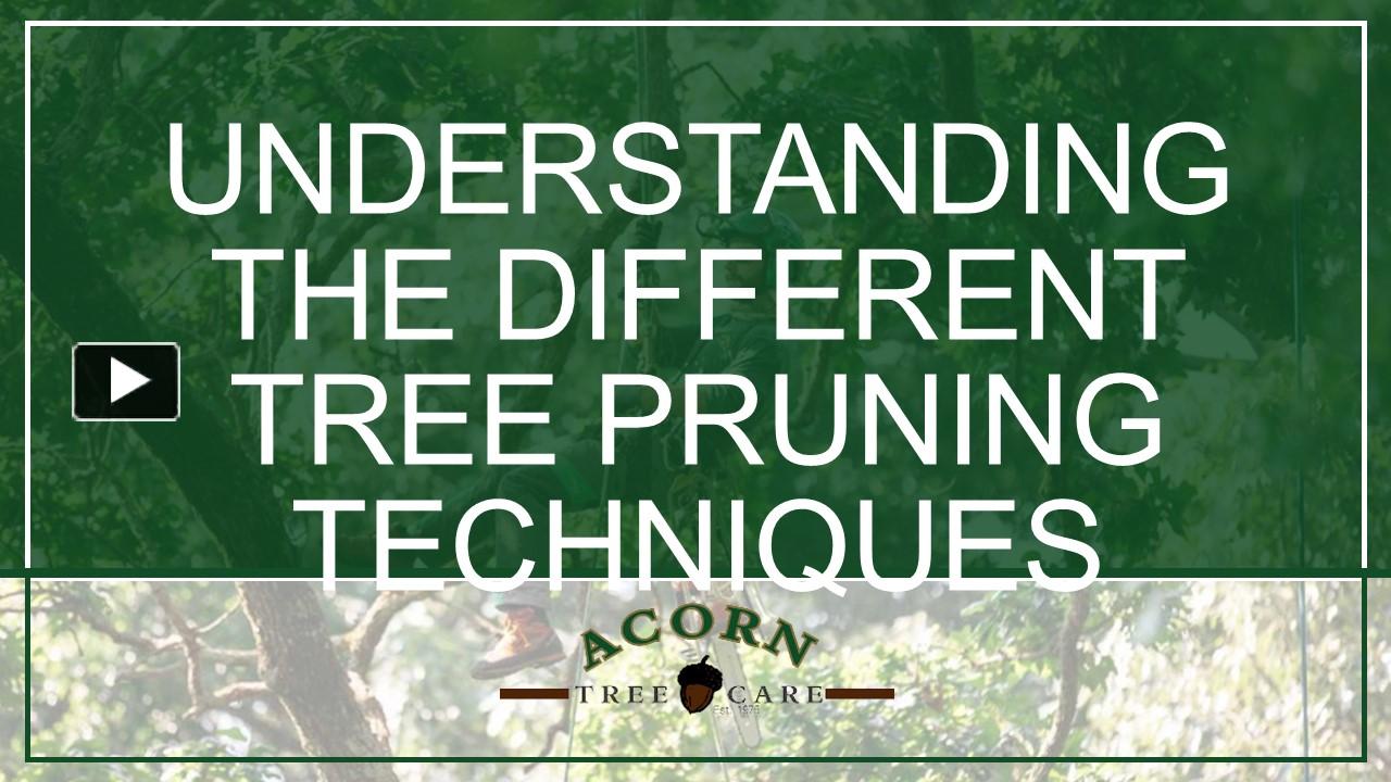 PPT – Unlock the Secrets of Tree Pruning Techniques: Enhance Your ...