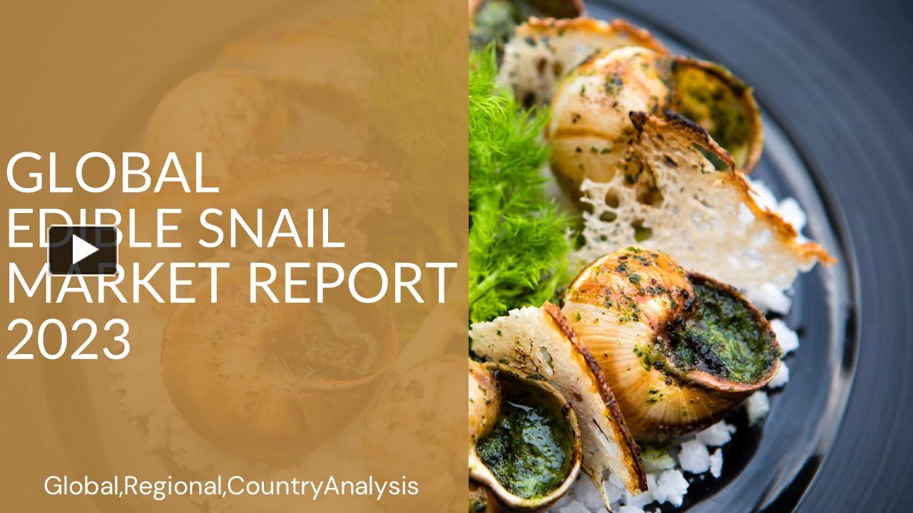 Edible Snail Market Report 2023 presentation | free to download