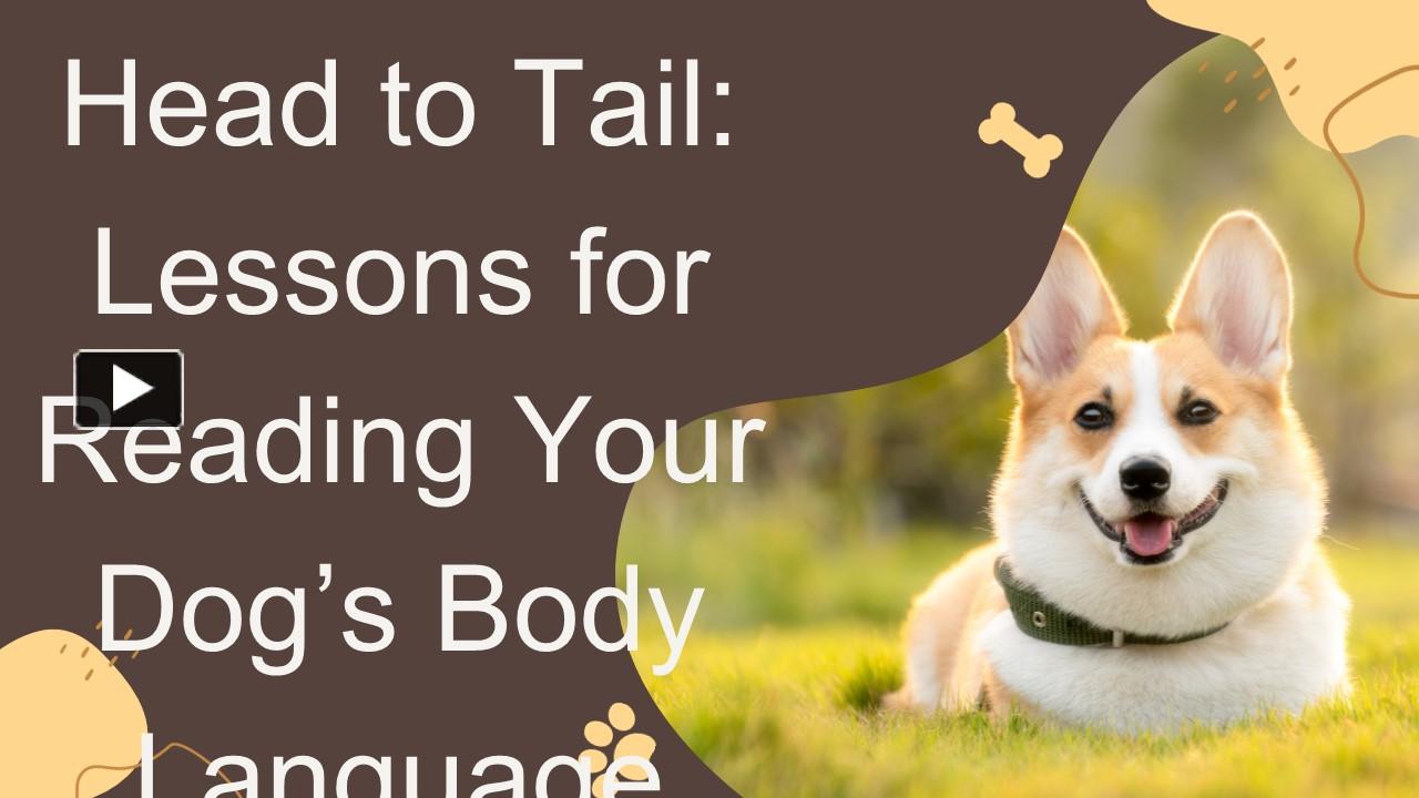 PPT – Head to Tail: Lessons for Reading Your Dog’s Body Language ...