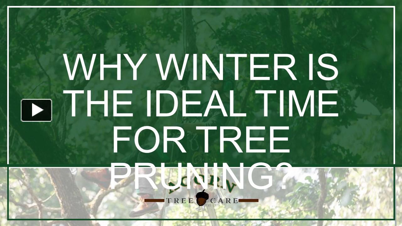 PPT – Unlock the Reasons Why Winter is Perfect for Tree Pruning ...