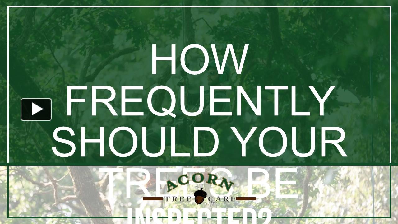 PPT – Tree Inspection Frequency: Keep Your Trees Healthy & Safe ...