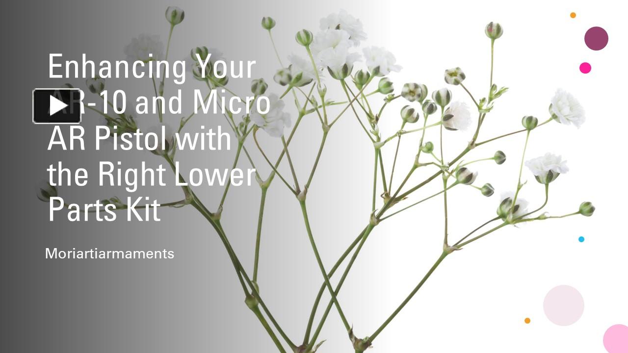 PPT – Enhancing Your AR-10 and Micro AR Pistol with the Right Lower ...