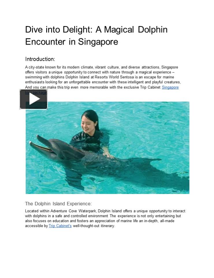 PPT – Dive into Delight: A Magical Dolphin Encounter in Singapore ...