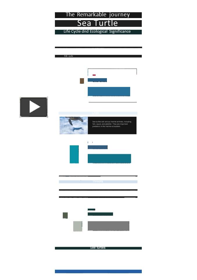 Cayman Turtles: Life Cycle Marvel presentation | free to download