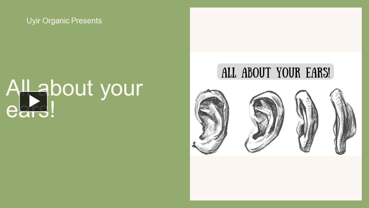 PPT – All about your ears! PowerPoint presentation | free to download ...