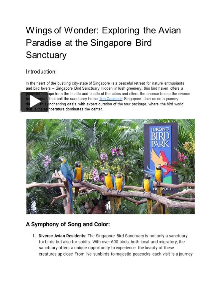 PPT – Wings of Wonder: Exploring the Avian Paradise at the Singapore ...