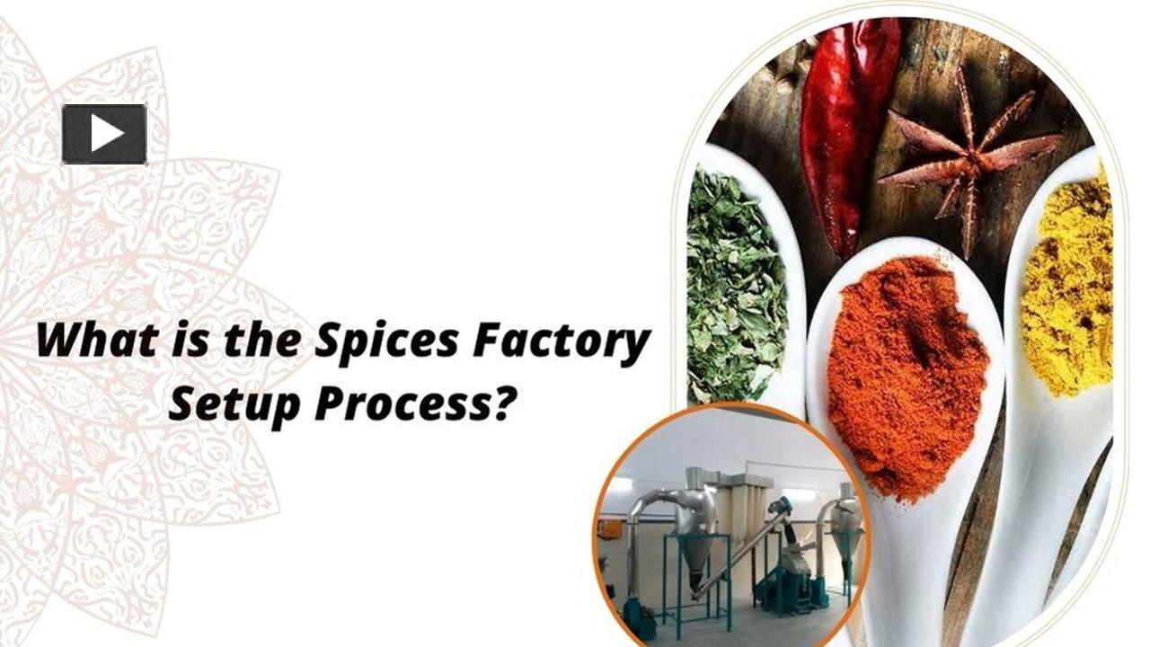 Spices Factory Setup Process presentation | free to download