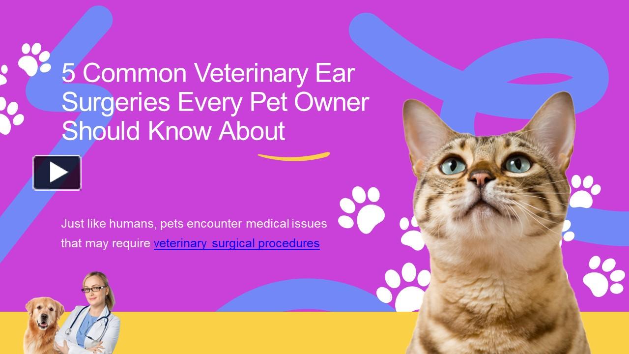 PPT – 5 Common Veterinary Ear Surgeries Every Pet Owner Should Know ...