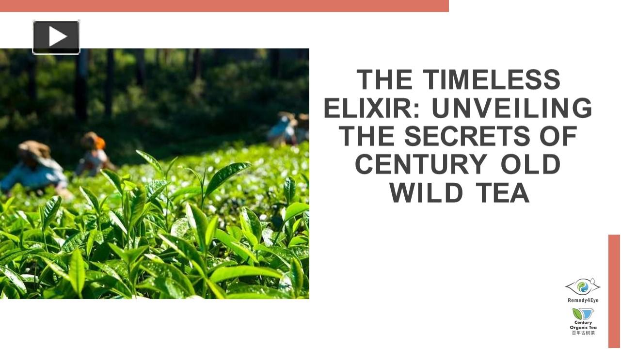 The Timeless Elixir Unveiling the Secrets of Century Old Wild Tea ...
