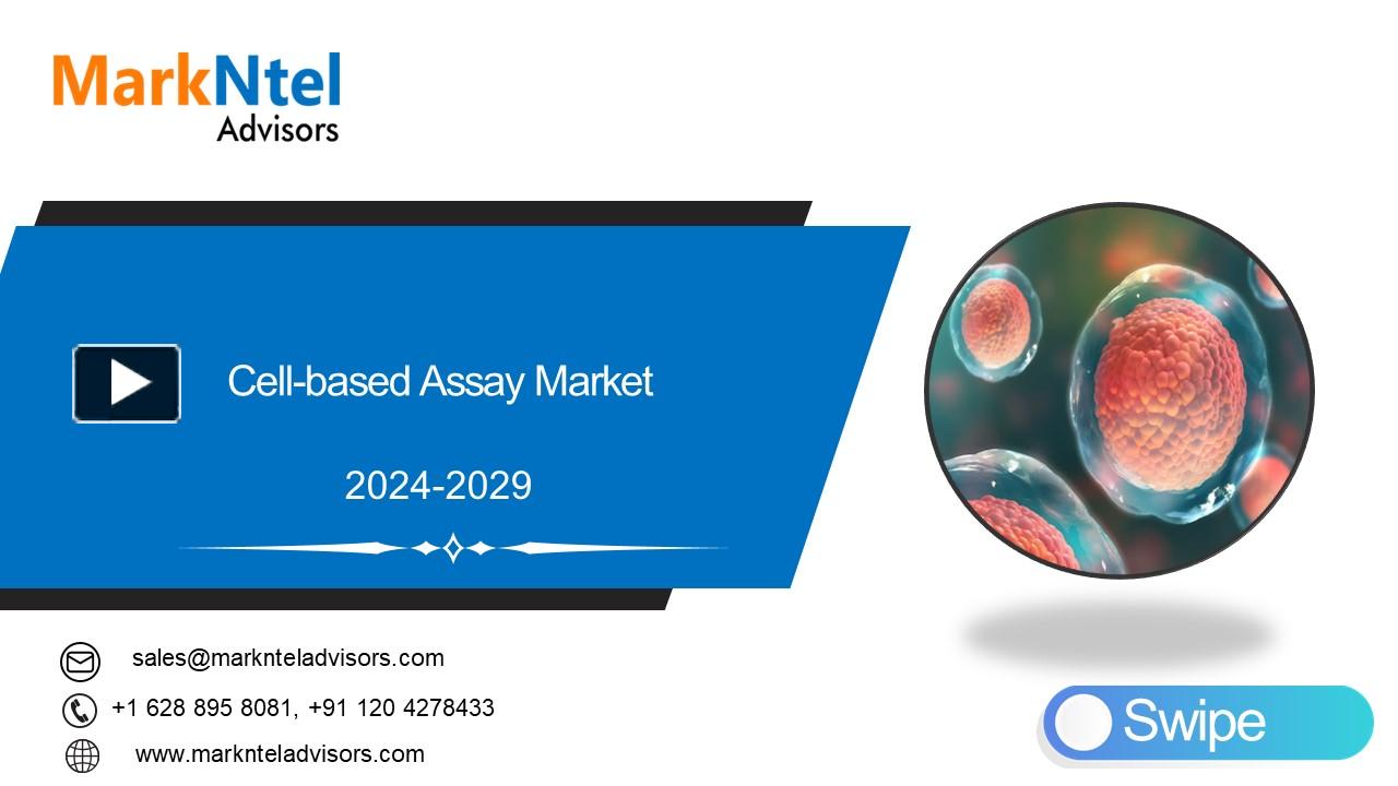 PPT – Global Cell-based Assay Market Research Report: Forecast (2024 ...