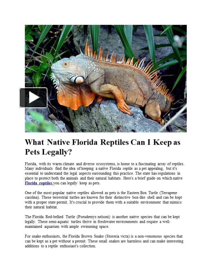 PPT – Florida Reptiles PowerPoint presentation | free to download - id ...