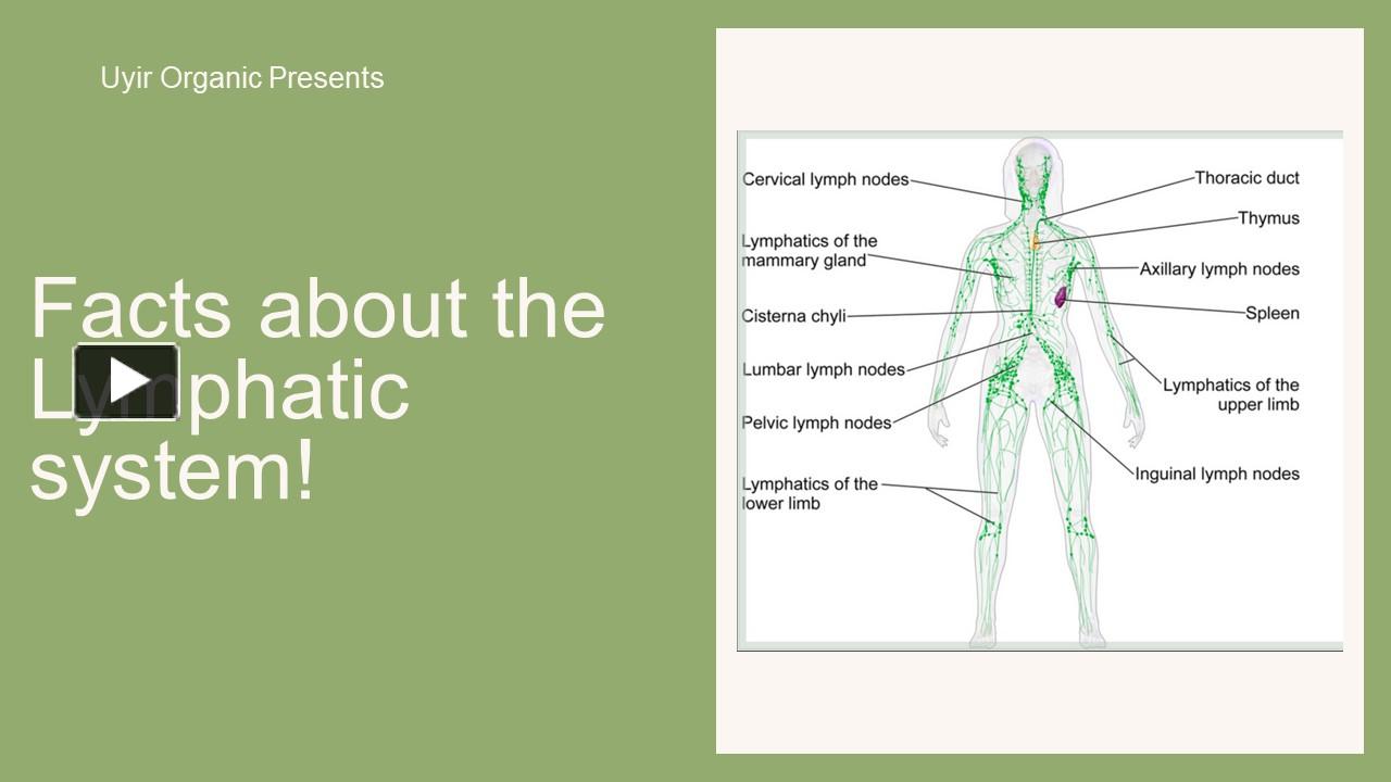PPT – Facts about the Lymphatic system! PowerPoint presentation | free ...
