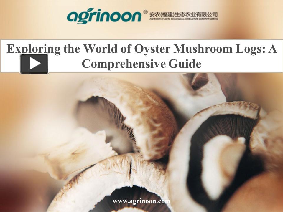 PPT – Exploring the World of Oyster Mushroom Logs: A Comprehensive ...