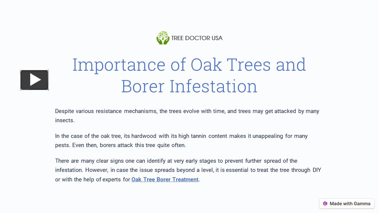 PPT – Importance of Oak Trees and Borer Infestation PowerPoint ...