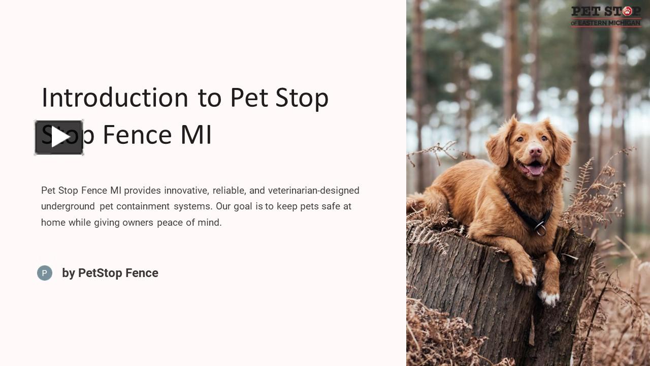 PPT – Pet Stop Underground Fence: Get Invisible Safety for Your Furry ...