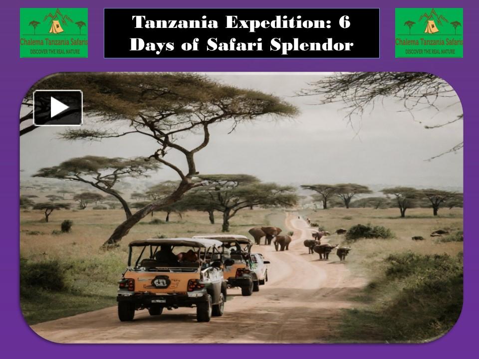 Tanzania Expedition: 6 Days of Safari Splendor presentation | free to ...