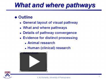 What and where pathways presentation | free to view