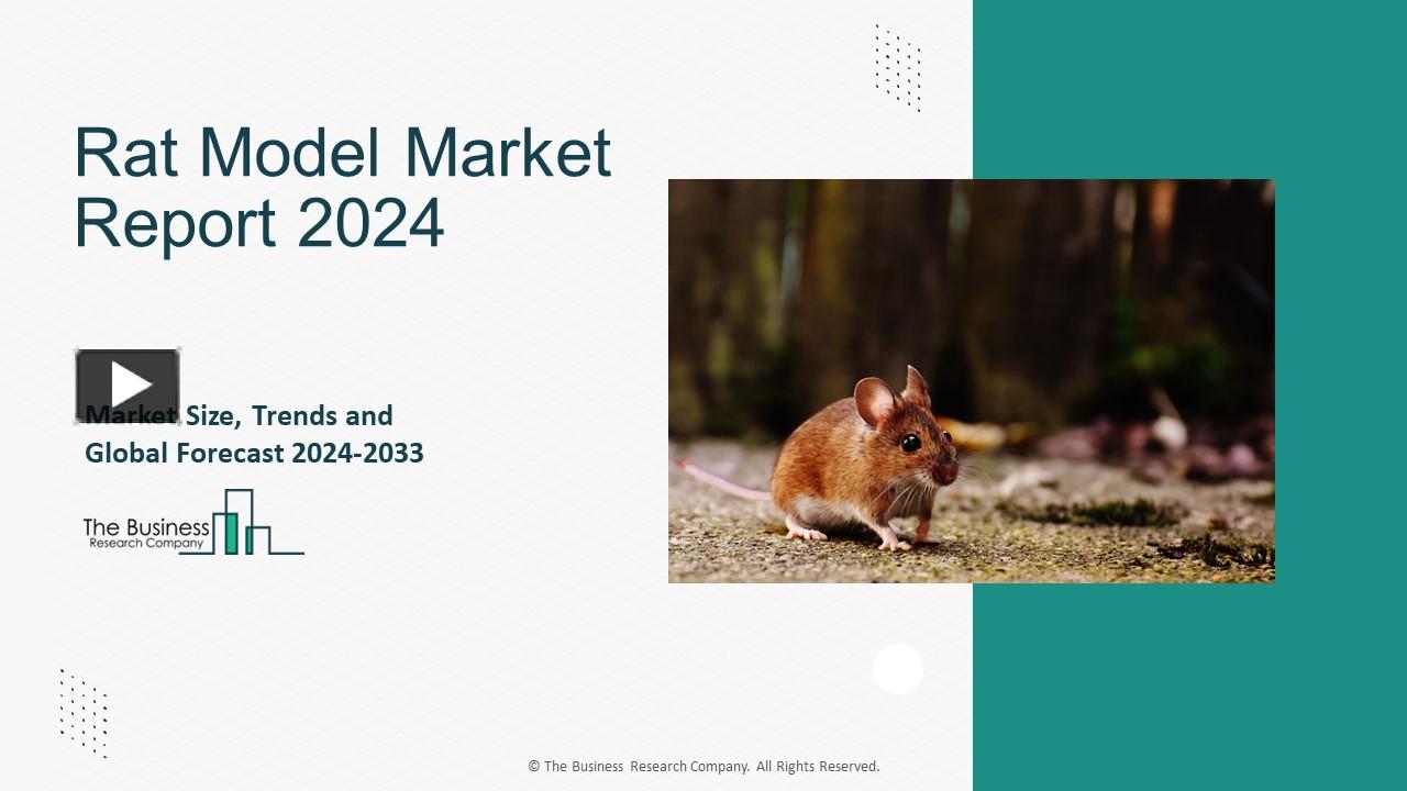 Rat Model Market Overview: Analysis and Insights 2024-2033 presentation ...