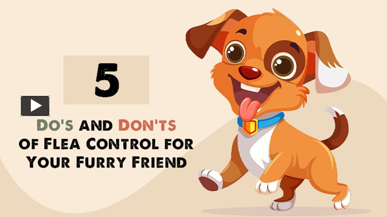 5 Do’s and Don’ts of Flea Control for Your Furry Friend presentation ...