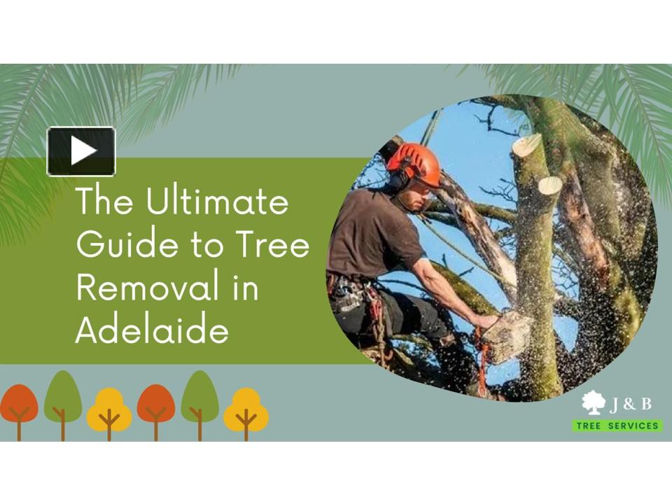 PPT – The Ultimate Guide to Tree Removal in Adelaide PowerPoint ...