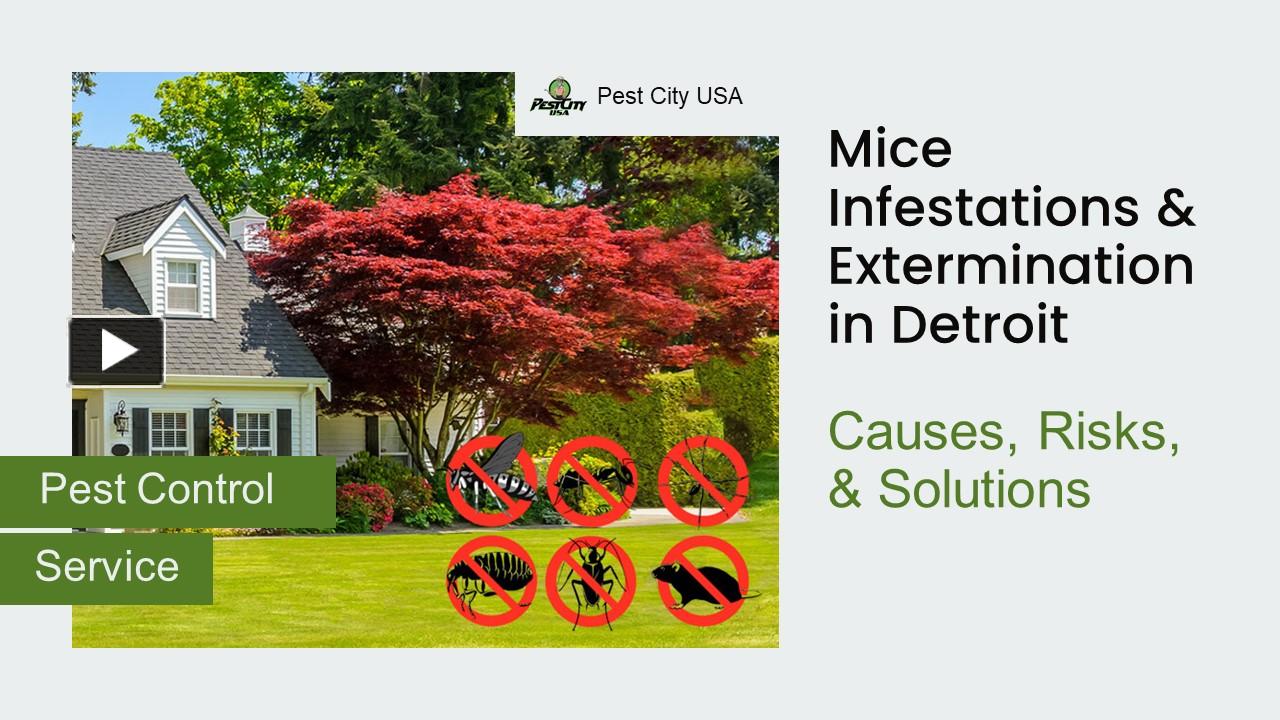 Mice Infestations: Causes, Risks, and Proactive Solutions presentation ...