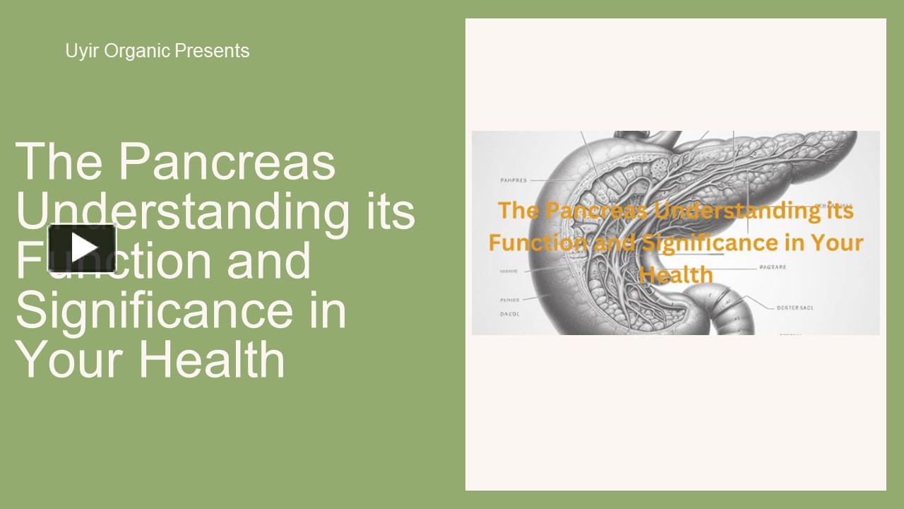 The Pancreas Understanding its Function and Significance in Your Health ...