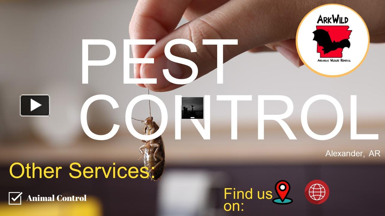 PPT – Pest Control Alexander, AR PowerPoint presentation | free to ...