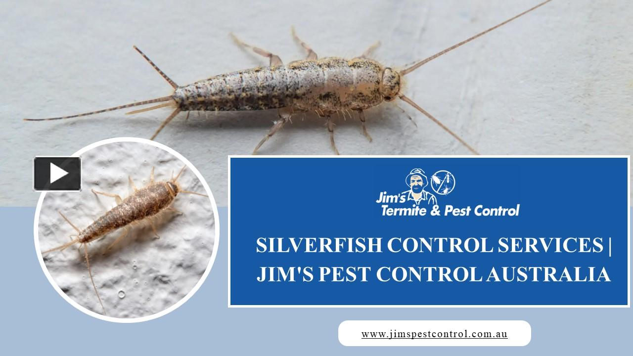 Silverfish Control Services Jim's Pest Control Australia presentation ...