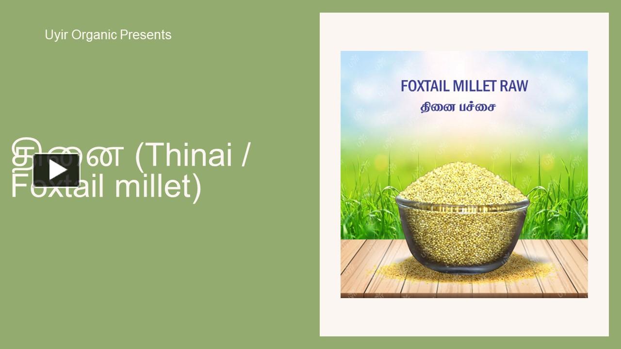 PPT – தினை (Thinai / Foxtail millet) PowerPoint presentation | free to ...