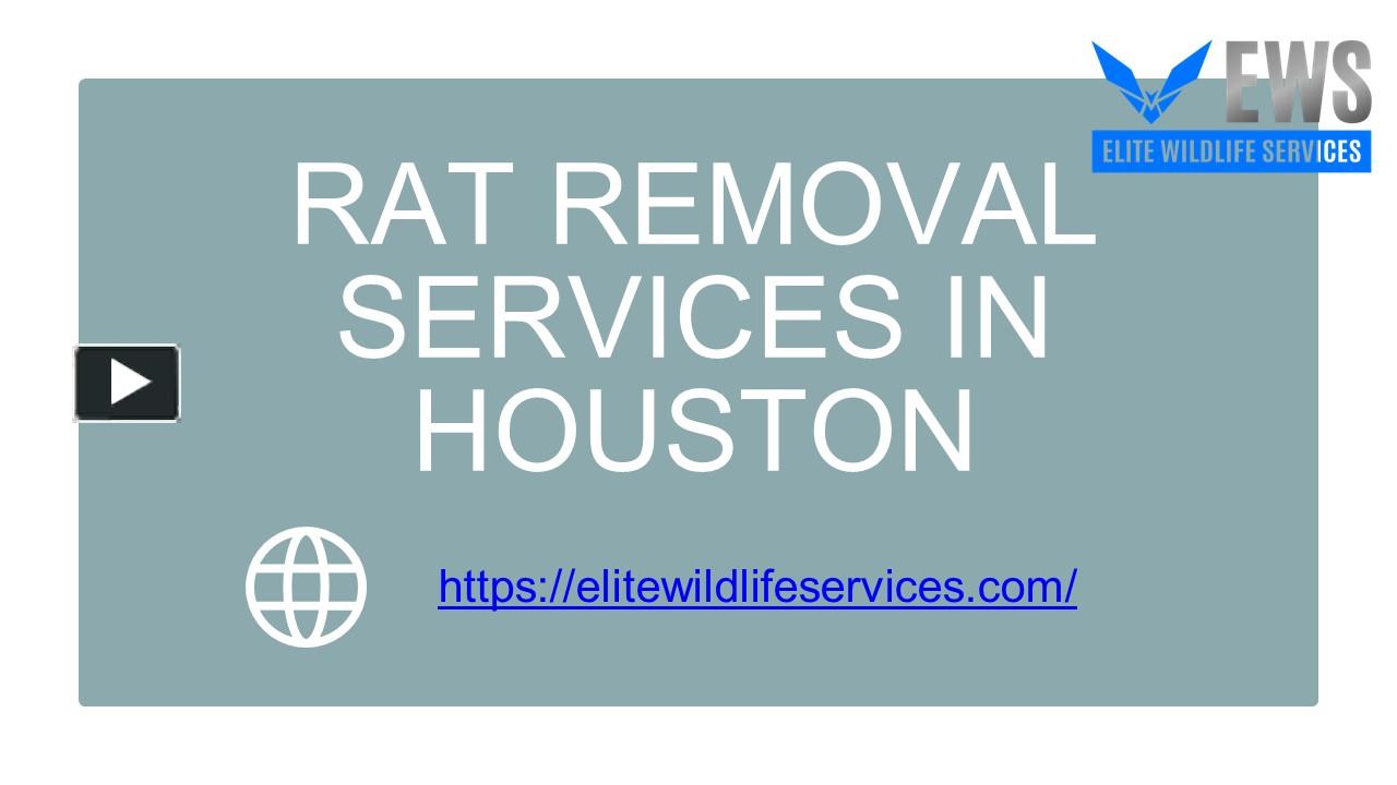 Rat Removal Services in Houston presentation | free to download
