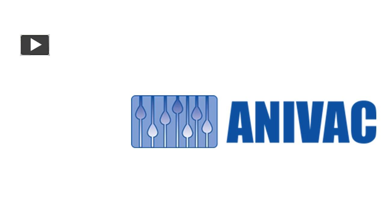 Revolutionize Your Large Animal Care with Our Advanced Bathing System ...