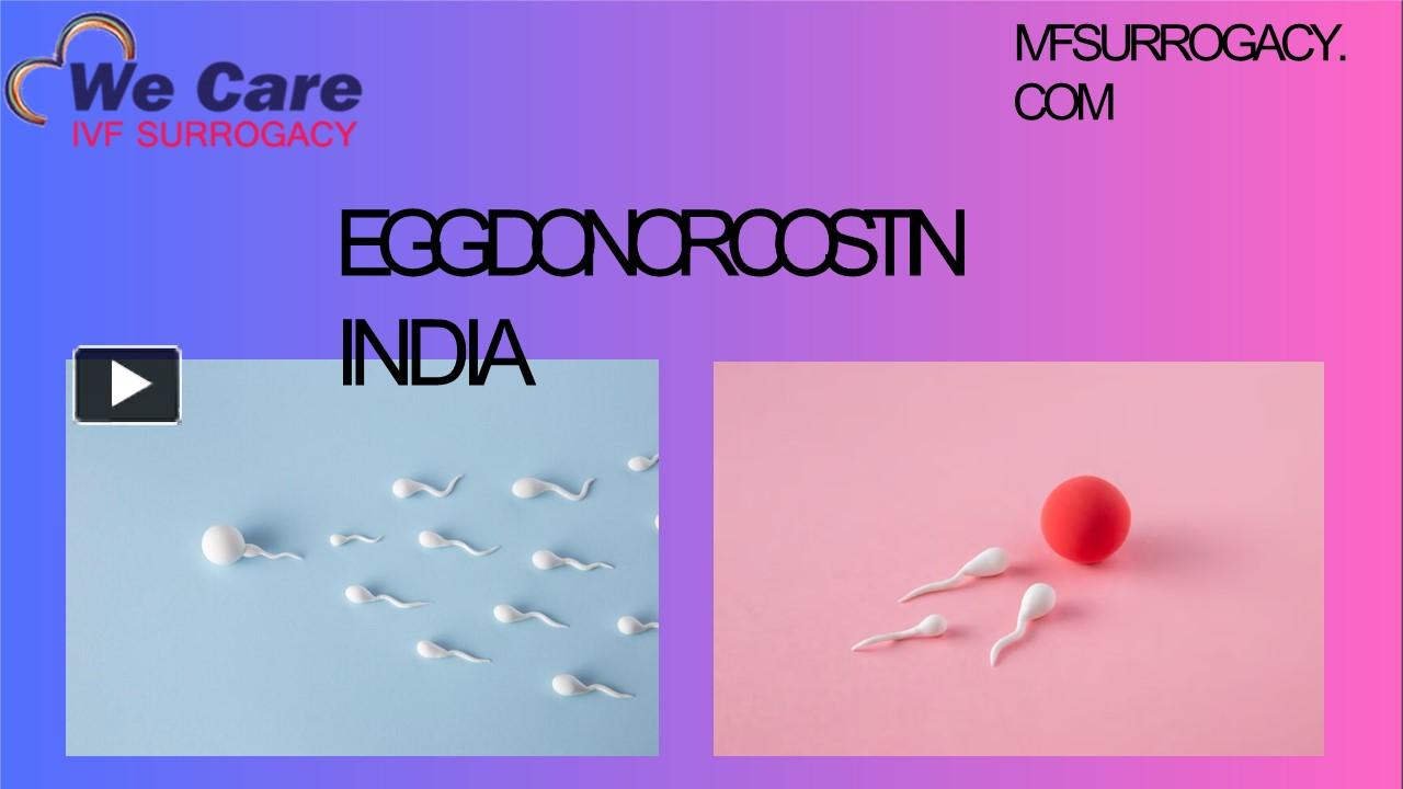 PPT – Egg Donor Cost in India - Comprehensive Pricing Guide PowerPoint ...