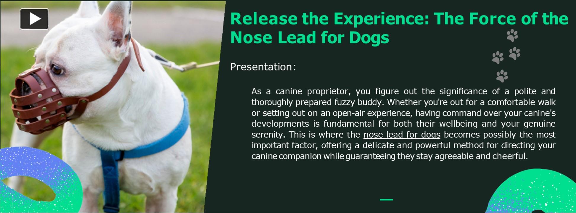 Release the Experience: The Force of the Nose Lead for Dogs ...