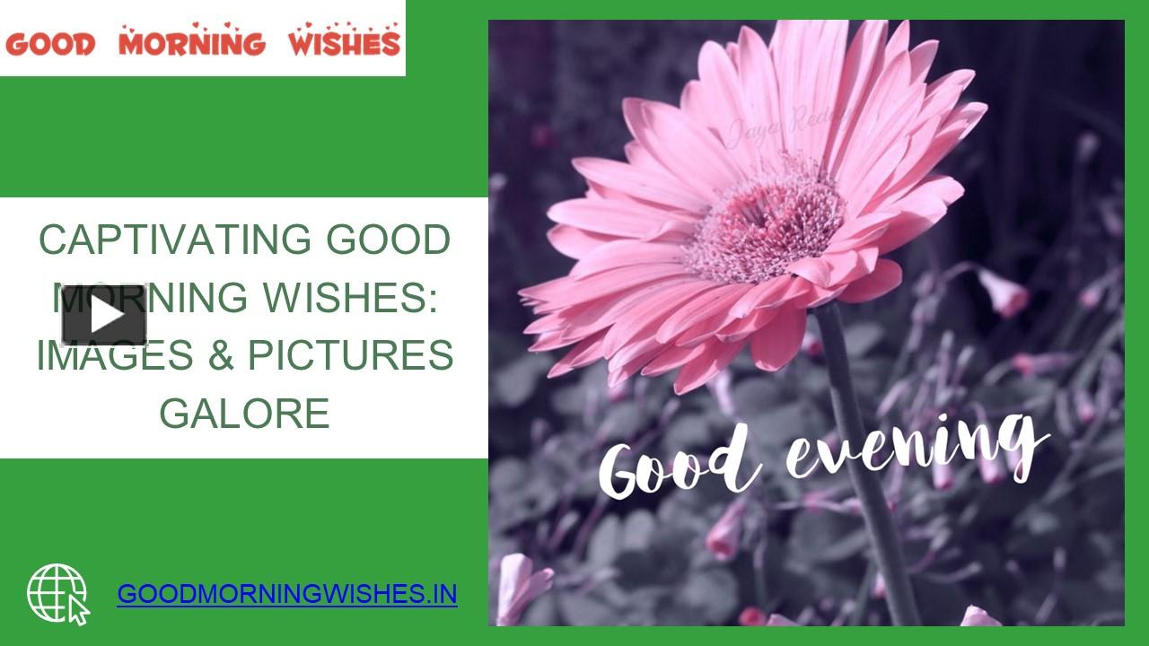 PPT – Captivating Good Morning Wishes Images and Pictures Galore ...