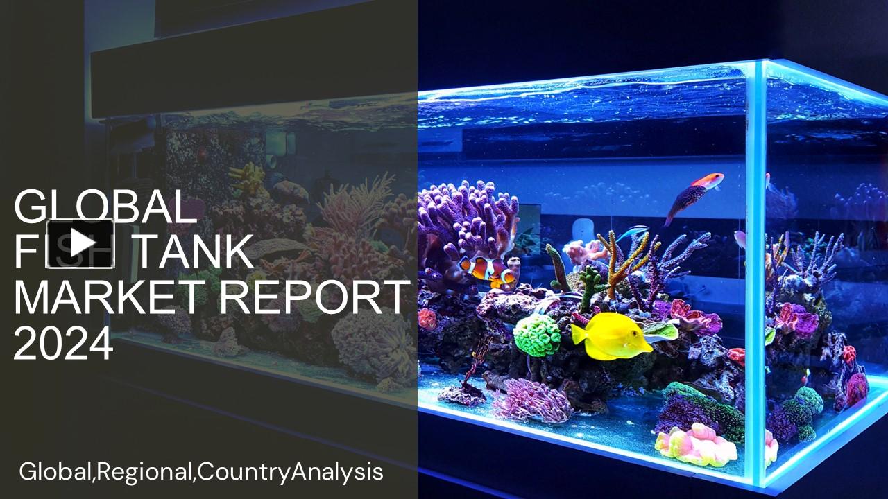 Fish Tank Market Report 2024 presentation | free to download