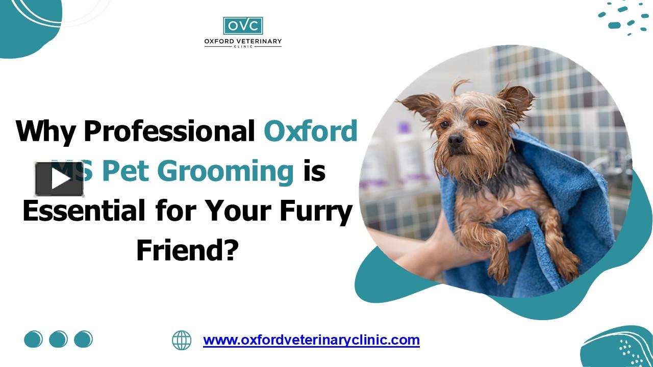 PPT – Why Professional Oxford MS Pet Grooming is Essential for Your ...