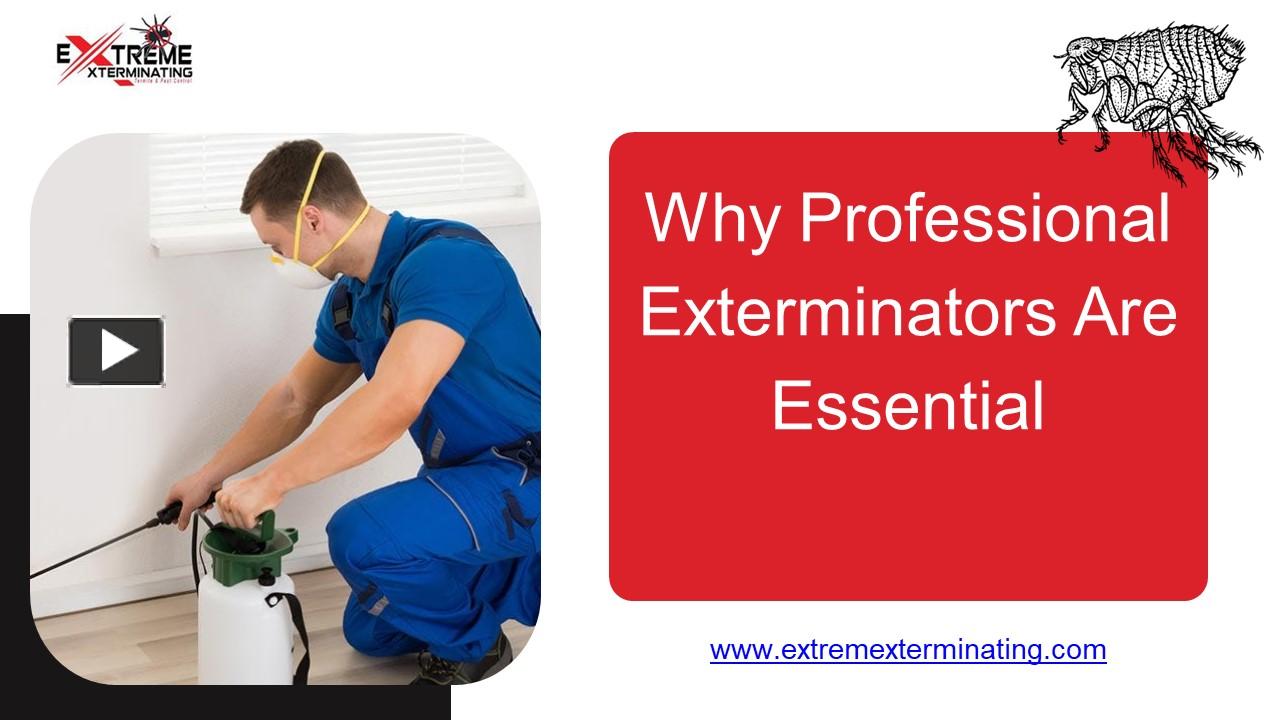 PPT – Why Professional Exterminators Are Essential PowerPoint ...
