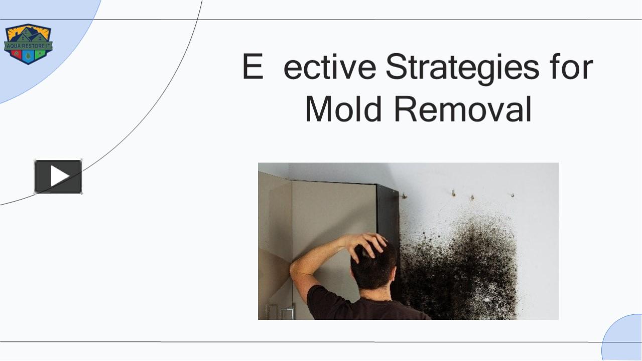 Effective Strategies for Mold Removal Service presentation | free to ...