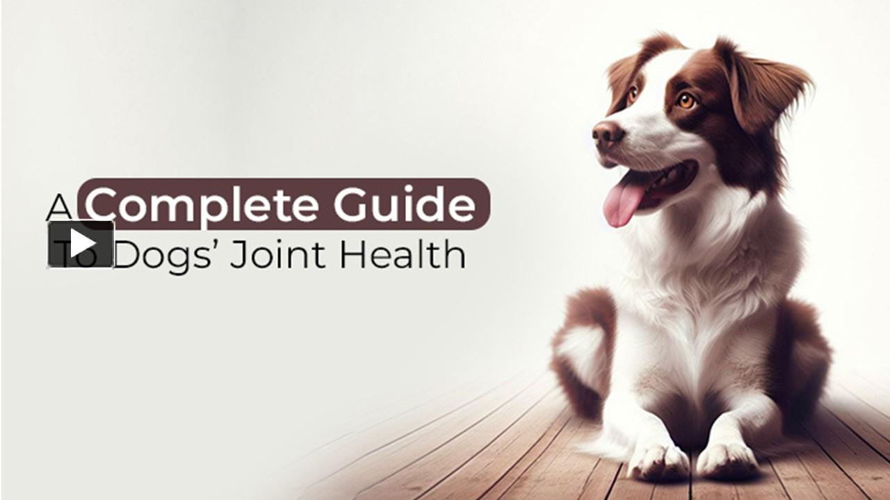 PPT – A Complete Guide To Dogs’ Joint Health PowerPoint presentation ...