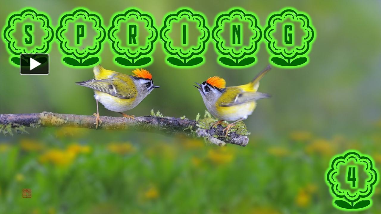 PPT – Jaro - Spring (Anna - Dorota) 4 PowerPoint presentation | free to ...