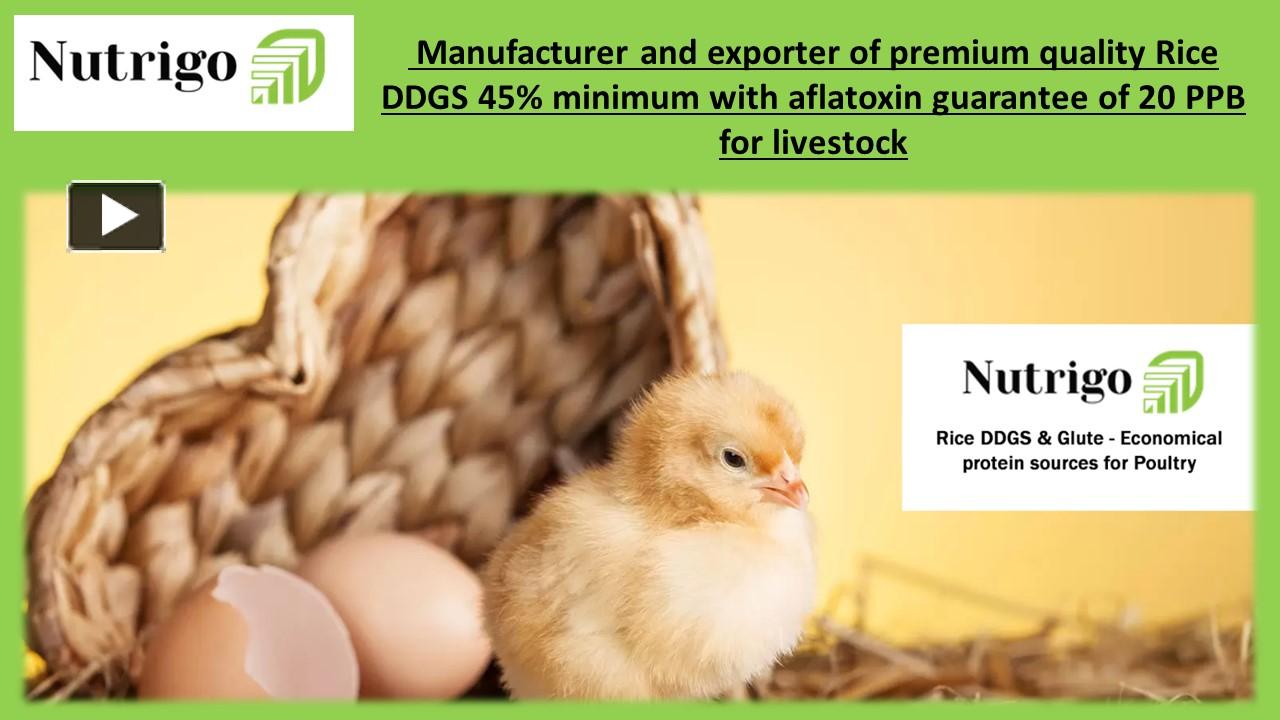 PPT – Nutrigo Feeds is one of the top Manufacturer and Supplier of Rice ...