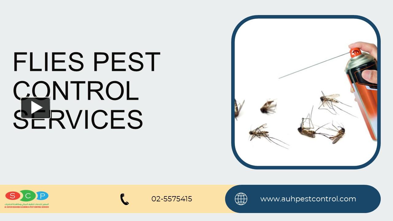 Flies Pest Control Services presentation | free to download