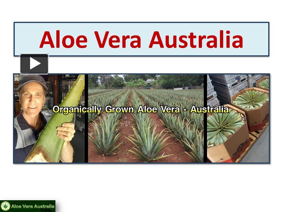 How Can Aloe Gel Aloe Vera Help You? presentation | free to download