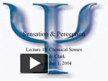 PPT – Sensation PowerPoint presentation | free to download - id: 98faa ...