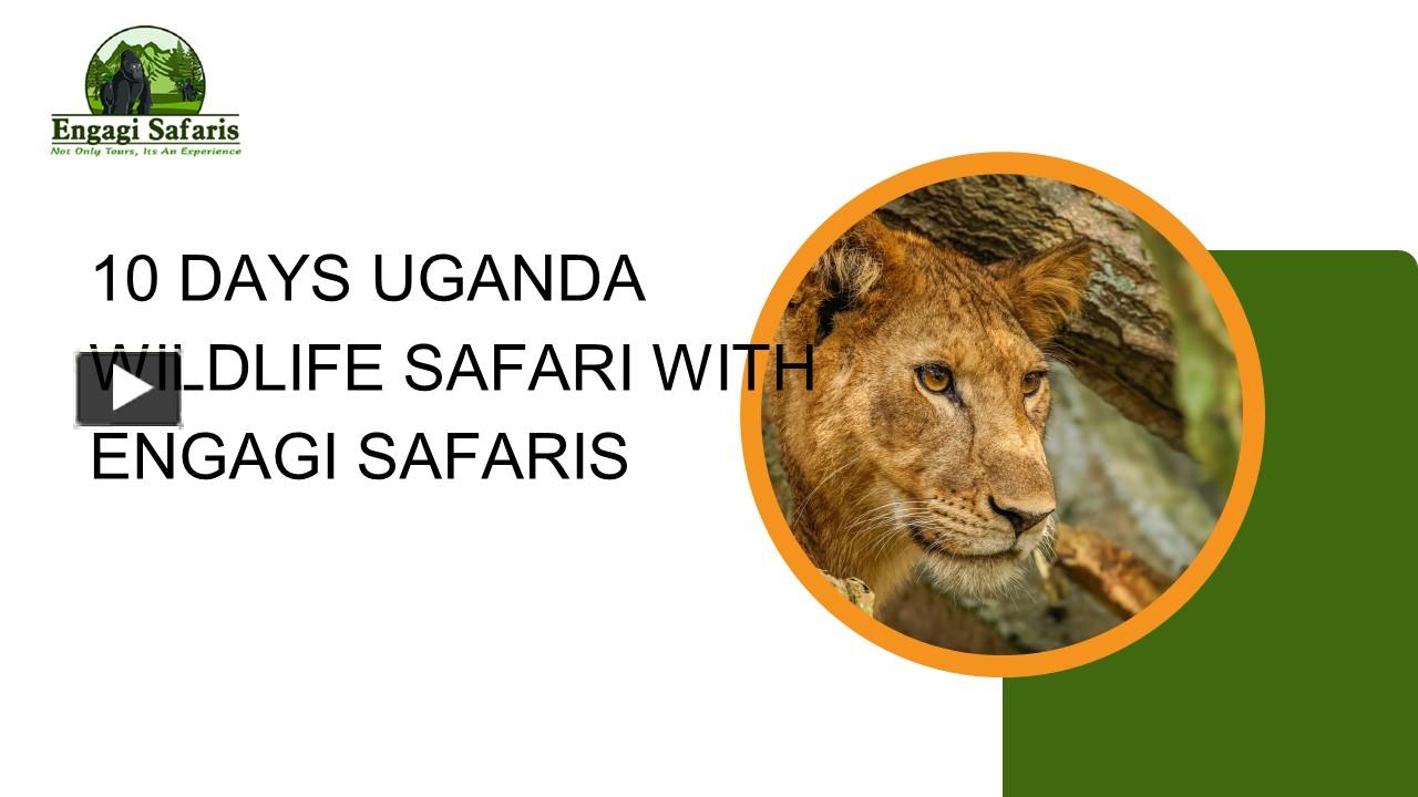 PPT – 10 Days Uganda Wildlife Safari with Engagi Safaris PowerPoint ...