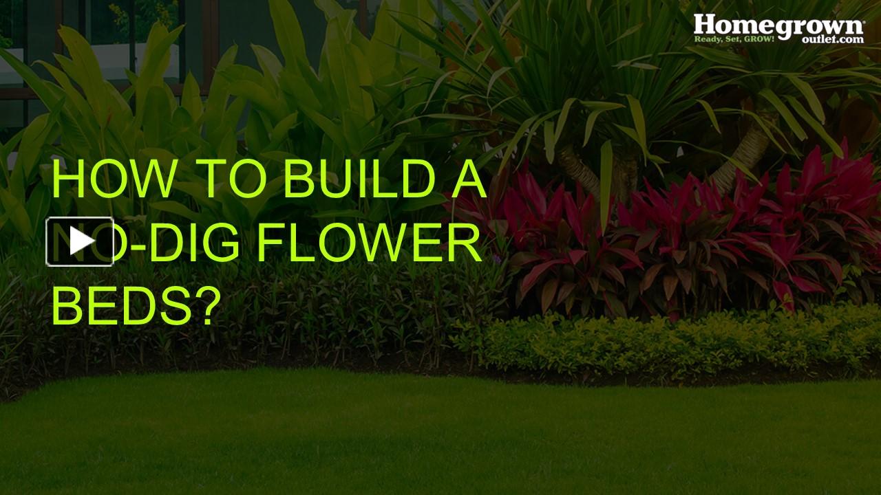 PPT – How to Build a No-Dig Flower Beds? PowerPoint presentation | free ...