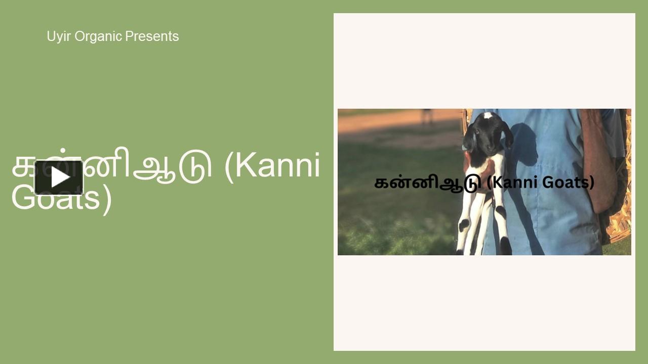 PPT – கன்னிஆடு (Kanni Goats) PowerPoint presentation | free to download ...