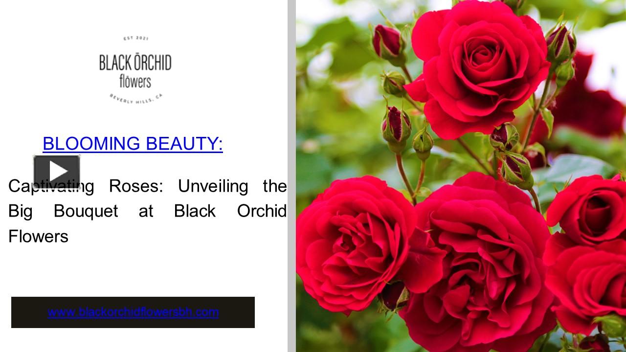PPT – Elegant Roses for Sale: Explore Black Orchid Flowers' Exquisite ...