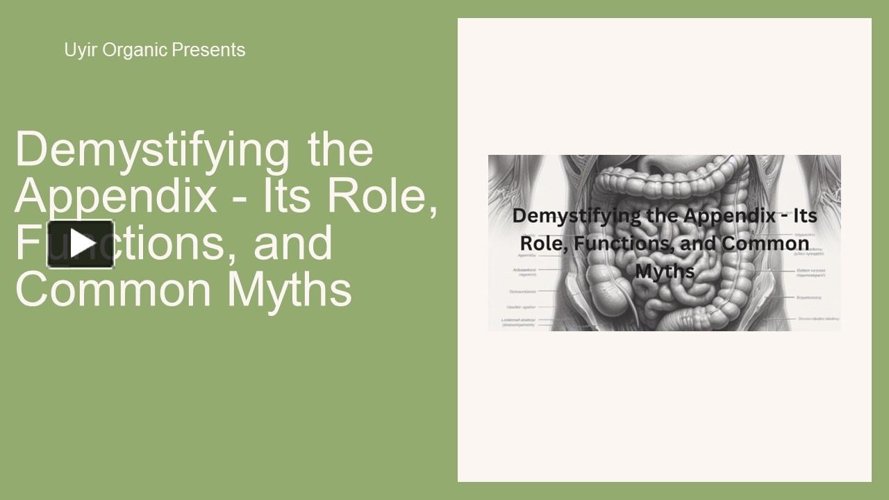 PPT – Demystifying the Appendix - Its Role, Functions, and Common Myths ...